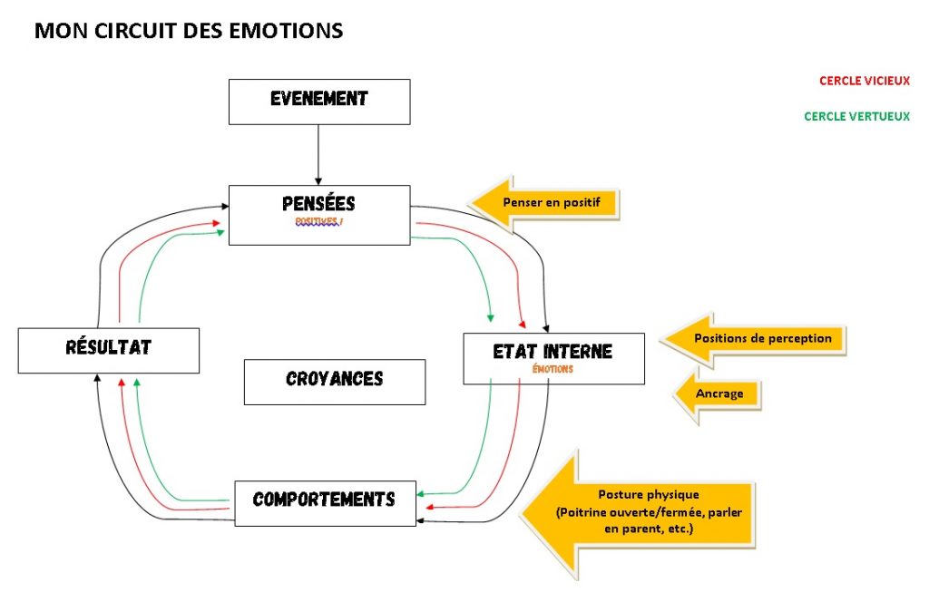 circuit emotions | cabinet libres